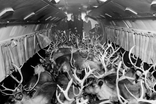 Alaska Airlines is Doing Well by Doing Good - GivingTrax Cloud Software